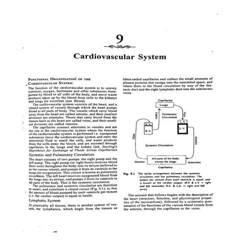 CVS 1.0 textbook of medical physiology.pdf