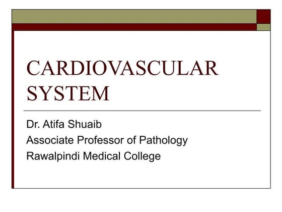 Circulatory system | PPT