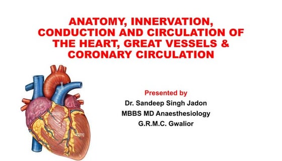 4.abdominal aorta and ivc | PPT