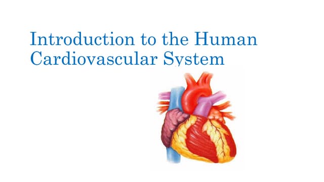 Anatomy of the Cardiovascular system | PPTX