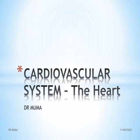 CVS (ANATOMY OF THE HEART) (1).pdf