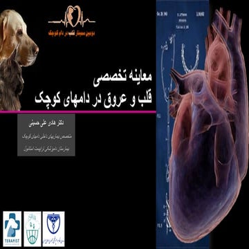 Examination of Cardiovascular System in Dogs and Cats | PDF