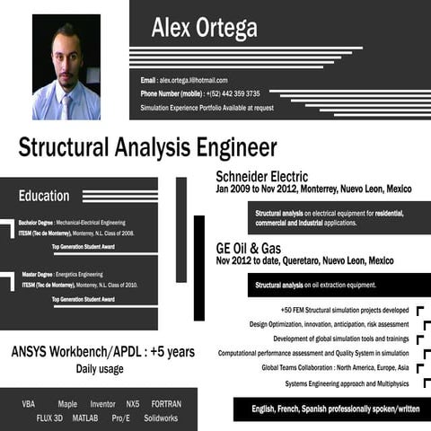 CV Alex Ortega 2014 | PPT