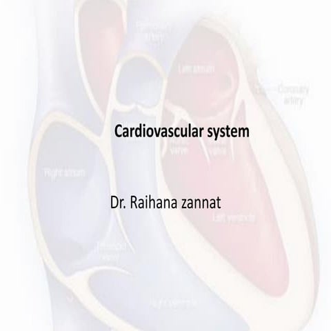 CVS Item 2.pdf | Heart and Cardiovascular Diseases | Diseases and ...