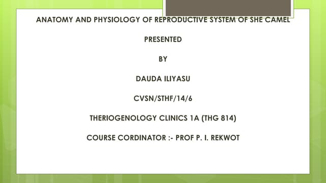Reproductive biology and life cycle of crabs | PPT