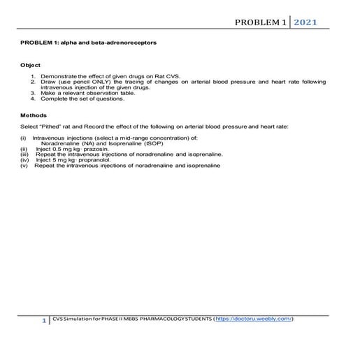CVS simulation problem 1 | PDF