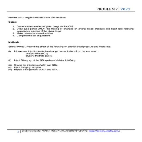 CVS simulation problem 2 | DOCX