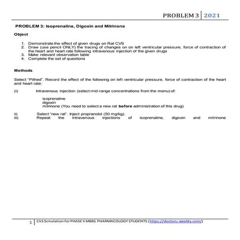 CVS simulation problem 4 | DOCX
