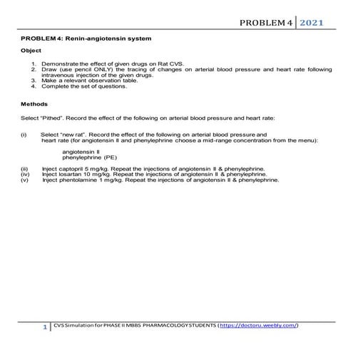 CVS simulation problem 4 | DOCX