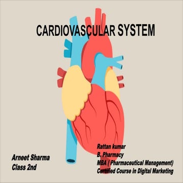 Cardiovascular System | PPT