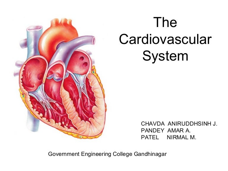 Cvs system by amar.aniruddhsinh,nirmal (d2 d)2017 copy