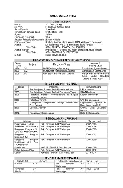 Cv mahfudz siddiq | DOC