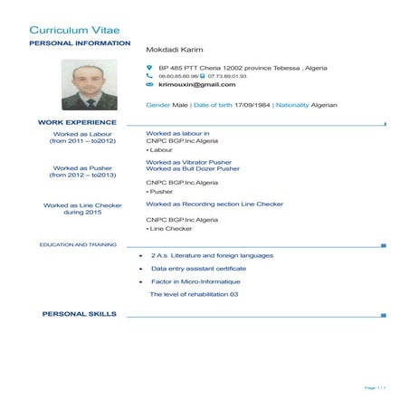 Cv template | DOC