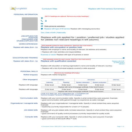 Modelo de currículo proyectos Unión Europea | DOC