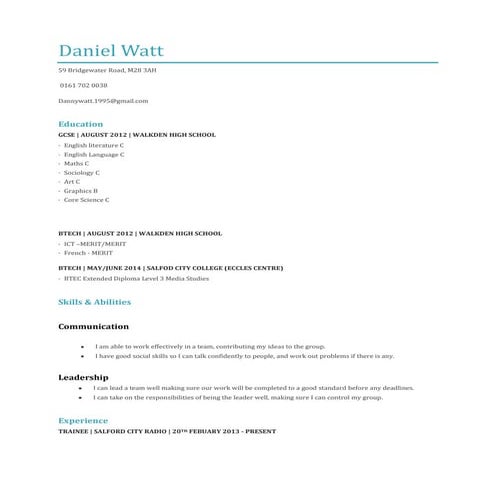 Cv template2 | PDF