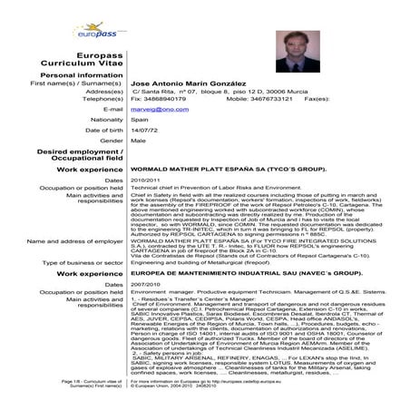 Cv template en_gb | PDF