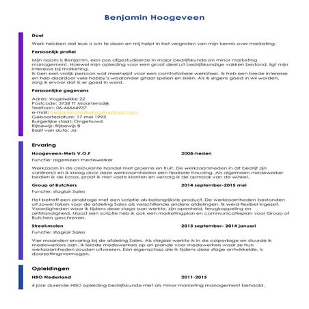 Curriculum vitae Benjamin Hoogeveen | PDF