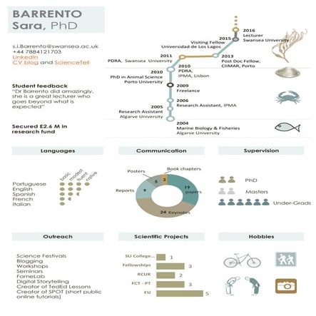 My infographic CV | PDF