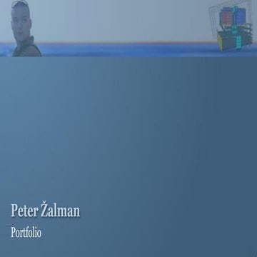 Peter Zalman 2006 - 2010 | PDF