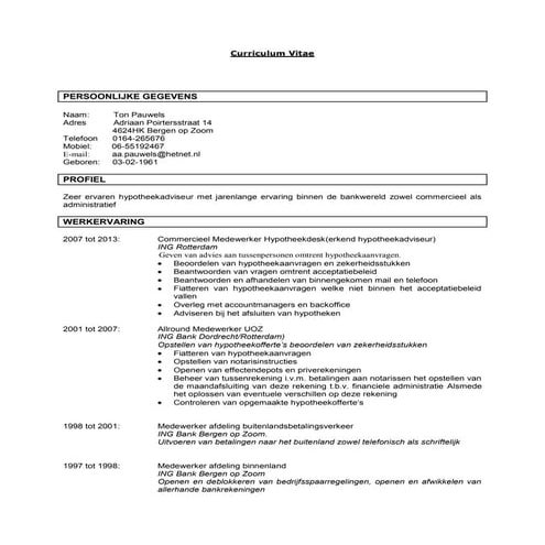 Cv lars velthuijsen | PDF