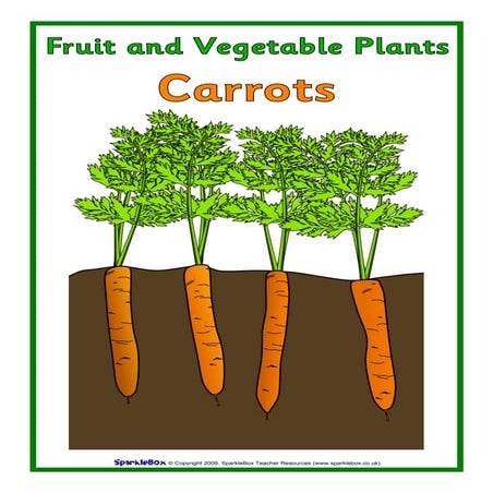 Healthy food vegetables | PDF