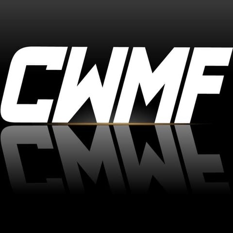 Cwmf 2013 | PPTX