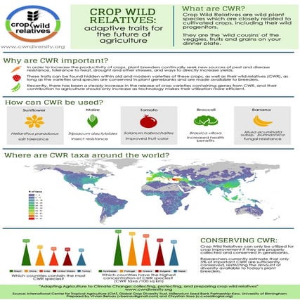 Crop Wild Relatives infographic | PDF