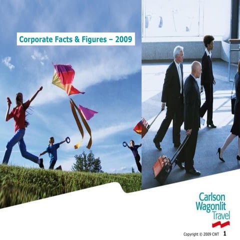 CWT Company Overview | PPT