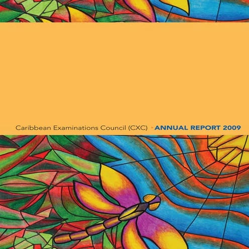 CXC Annual Report 2009 | PDF