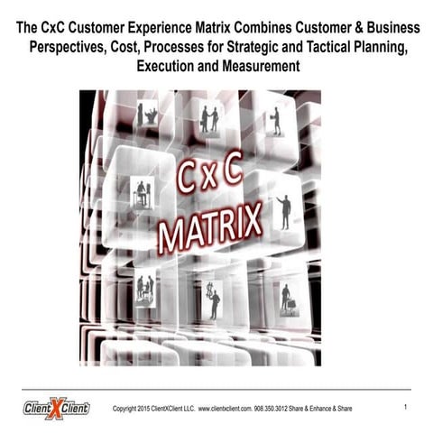 CxC Matrix Customer Experience Technical Glimpse ClientxClient 908 350 ...