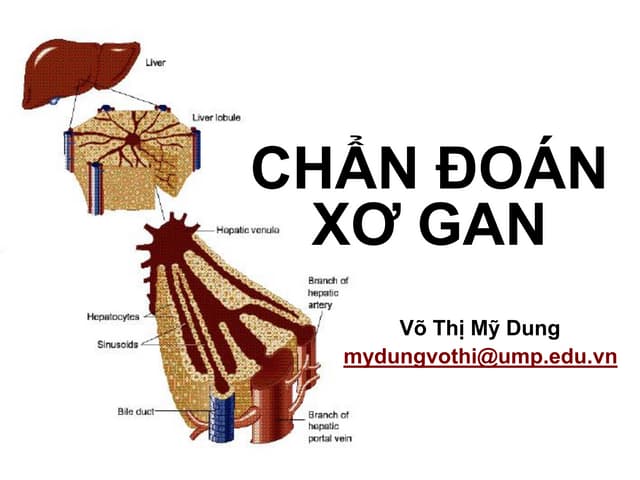 HỘI CHỨNG SUY TẾ BÀO GAN | PDF