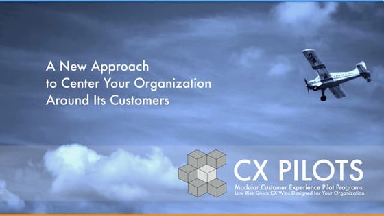 Customer experience overview | PPT