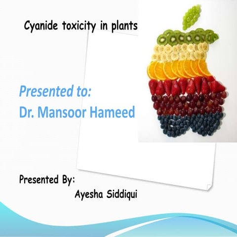 Cyanide toxicity in plants | PPTX