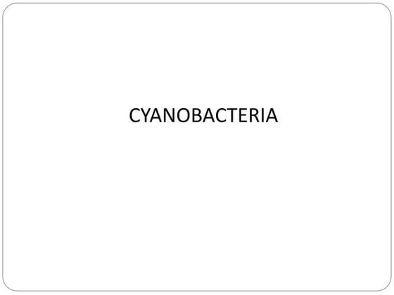 Cyanobacteria as a Biofertilizer (BY- Ayushi).pptx | Agriculture ...