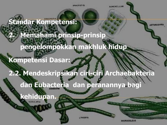 LAPORAN RESMI PRAKTIKUM MIKROBIOLOGI I PEWARNAAN SPORA DAN KAPSUL PADA ...