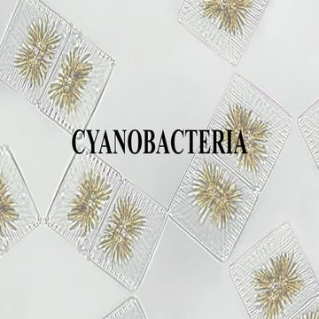 CYANOBACTERIA - blue green algae - cyano toxins | PPTX