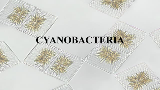 Anabaena | PPTX