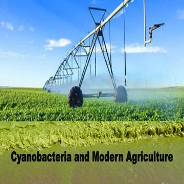 Agriculture, Cyanobacteria and Clean Biofuel in Canada | PPT