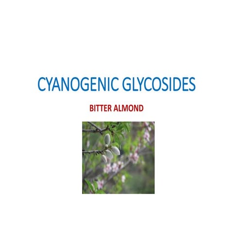 CYANOGENIC GLYCOSIDES.pptx