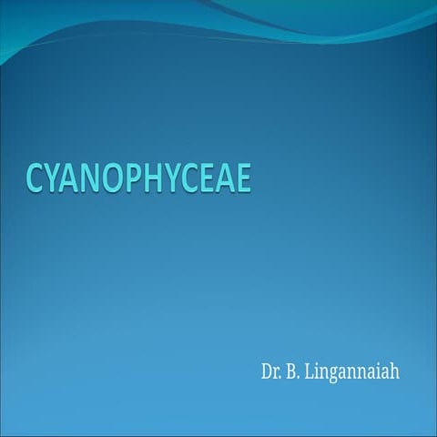 Comprehensive Overview of Algal Pigments: Structure, Types, and ...