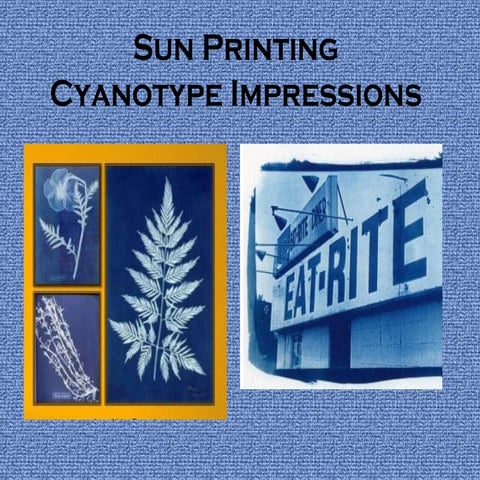 Cyanotype slideshow | PPT