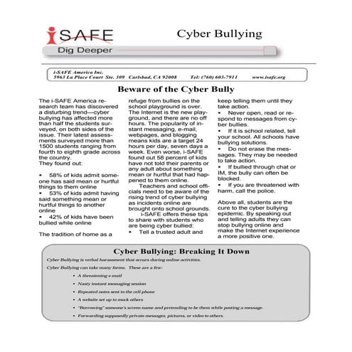 Cyber bullying | PDF