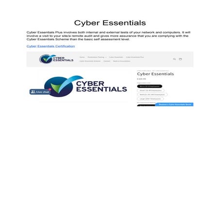 Cyber Essentials Cyber Essentials P.docx