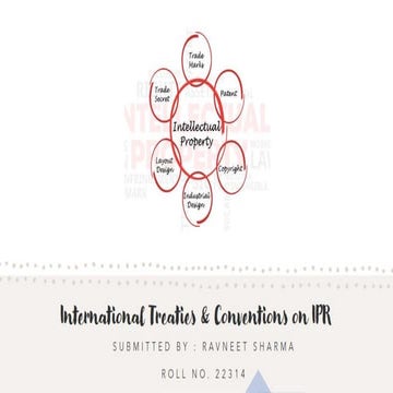 international treaties and conventions IPR | PDF