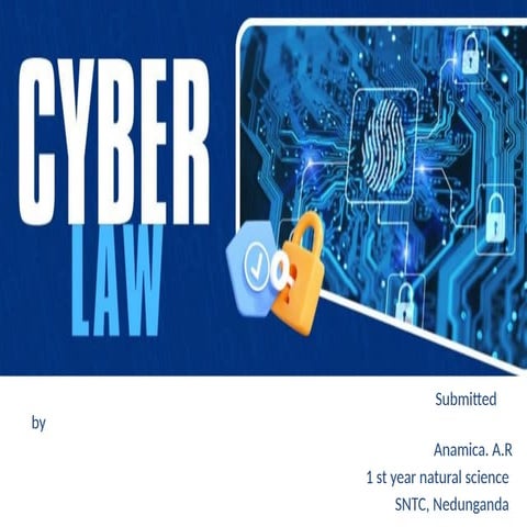 Technology Seminar on cyber law in india | PPTX