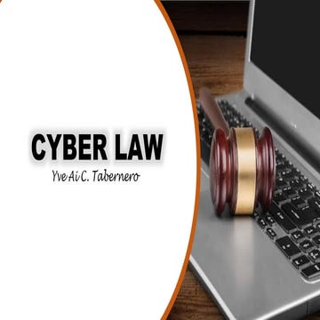 Data Privacy - Penalties for Non-Compliance | PDF