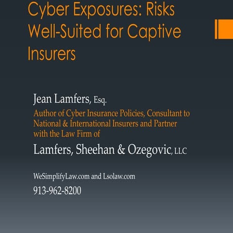 Cyber Insurance - The Basics | PDF