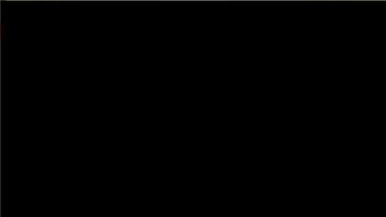 Cyber Ethics: Cyber Security Services | VAPT and WAPT | PPT