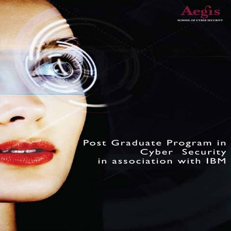 Cyber security brochure(1) | PDF