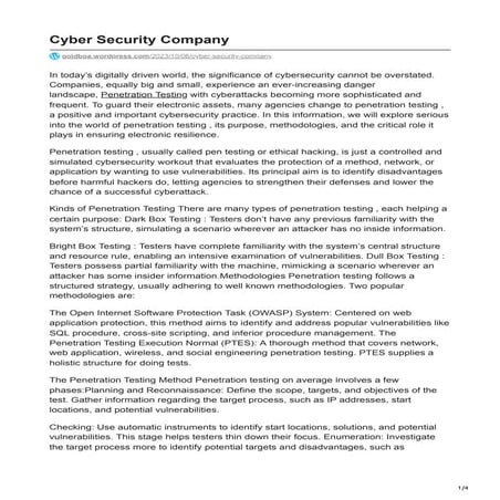Cyber Security Company.pdf | Information and Network Security | Computing